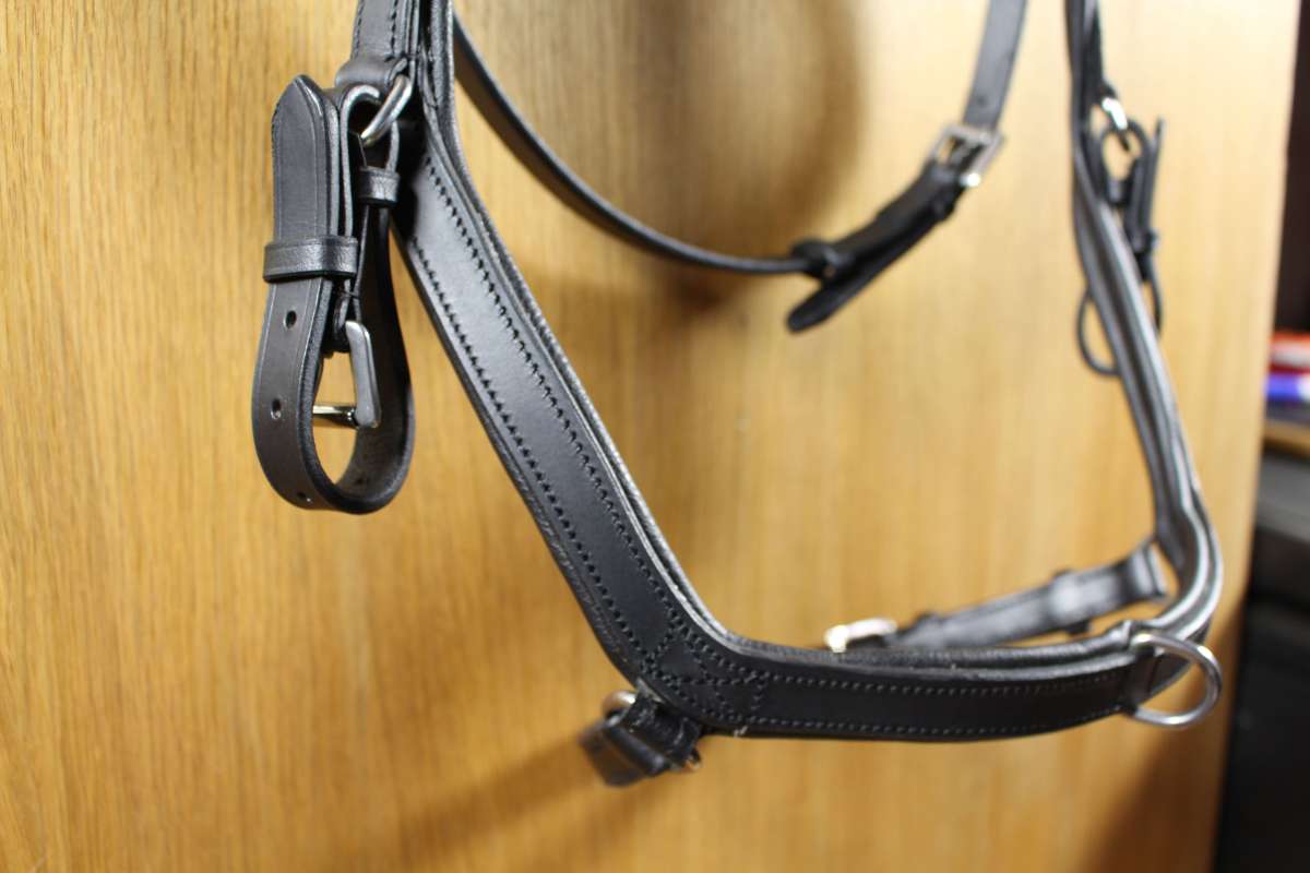 Anatomische Trense "Micklem" kaufen | Reitsport-Shop & Seminare